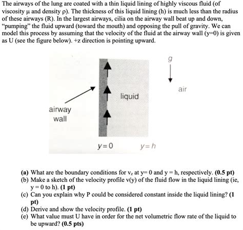 [solved] The Airways Of The Lung Are Coated With A Thin Liq