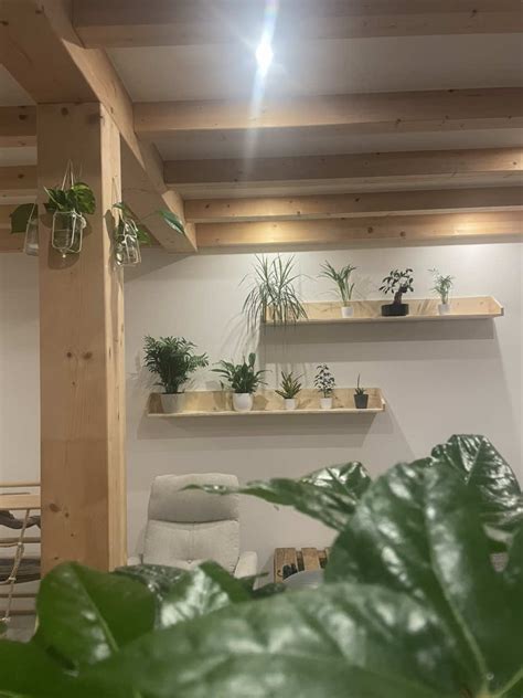 Diy Regal Aus Alten Schrank Bauen Tiktok