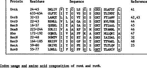 Alignment Of The Putative Atp Binding Sequence Of Ruvb With Similar