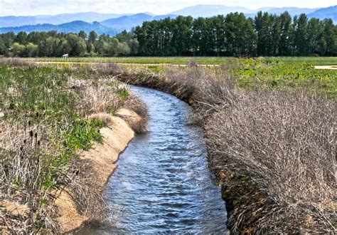 The Benefits Of Selenium And Dosage Recommendations