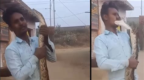 Viral Video Python Attacking Man Video Goes Viral On Social Media