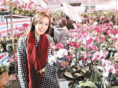 今年留在香港过年放心春节7天都给你安排好了 知乎