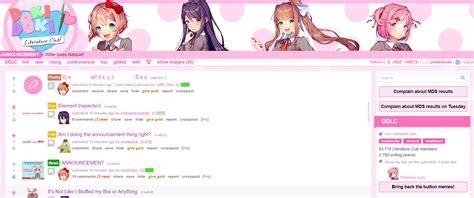 So I Heard Were Inspecting Elements R Ddlc