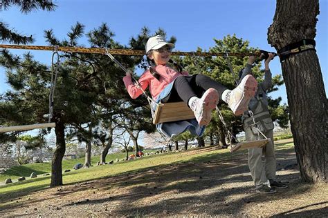 TREE SWINGツリースイング公式サイト