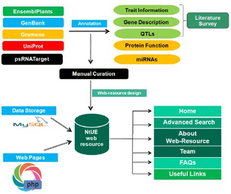 Flow Chart Depicting The Steps Involved In Preparation Of The Nutrient Download Scientific