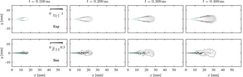 Mixture Formation And Combustion Of Alcohols And Other Biogenic Fuels