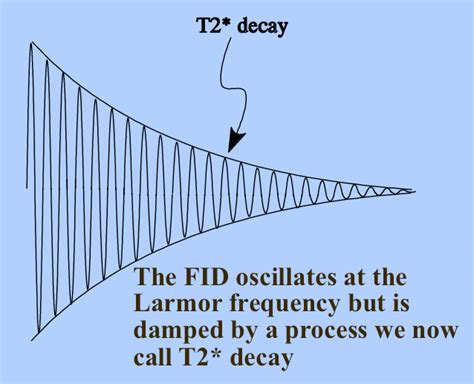 Nmr Signal Questions And Answers In Mri
