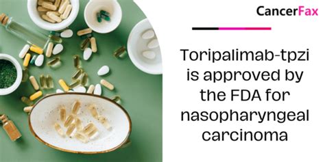 Fda Approval Of Toripalimab Tpzi For Nasopharyngeal Carcinoma
