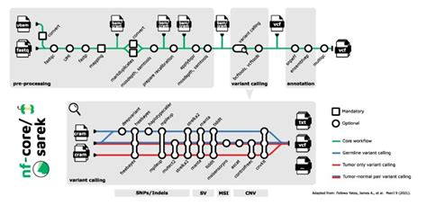 The German Human Genome Phenome Archive Ghga On Linkedin Advances In Scalable Dna Sequencing