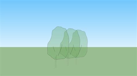 Transparent PNG Texture Issue SketchUp SketchUp Community