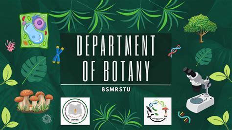 Department Of Botany Gstu Facebook