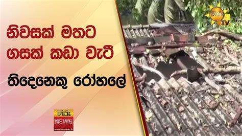 නිවසක් මතට ගසක් කඩා වැටී තිදෙනෙකු රෝහලේ Hiru News Youtube