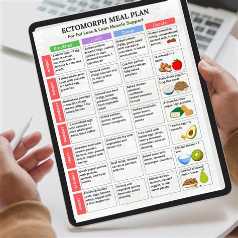 Ectomorph Meal Plan Pdf 7 Day Macro Based Food Chart Printable
