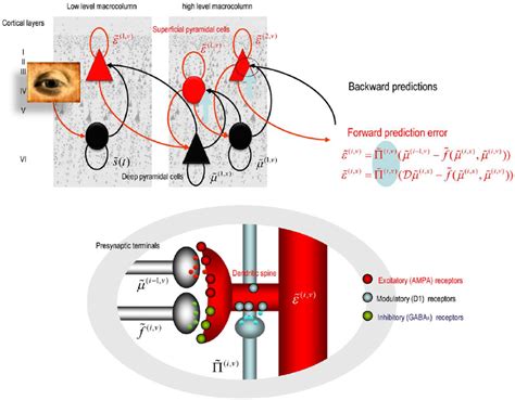 This Figure Provides A Schematic Overview Of The Message Passing Scheme Download Scientific