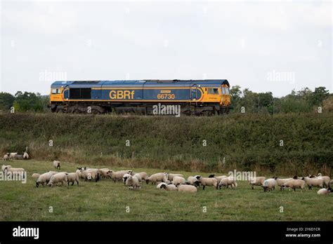 Gbrf Class 66 Diesel Locomotive No 66730 Whitemoor Travelling Light