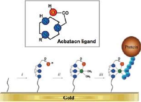 figure 1 1 from solution self assembly of block copolymers into inverse