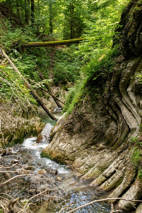 60 000 개의 최고의 간지나는 컴퓨터 배경화면 고화질 사진 · 100 무료 다운로드 · Pexels 스톡 사진