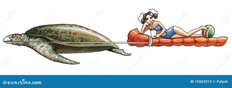 Sea Turtle Leatherback Cartoon Vector Illustration