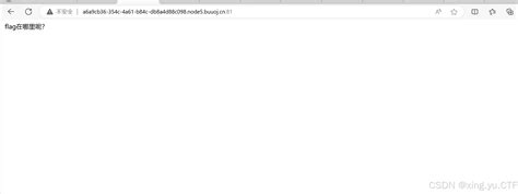 Buuctf Gxyctf2019 禁止套娃1 详解 无参数rce Gxyctf2019 禁止套娃 1 Csdn博客 Buuctf Gxyctf2019 禁止套娃1 详解 无参数rce Gxyctf2019 禁止套娃 1 Csdn博客