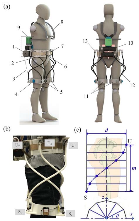 Design Of The Parallel Hip Exoskeleton A Cad Models 1 Pulley 2 Download Scientific