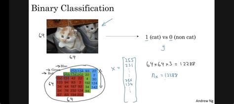 Pravin K On Linkedin Deeplearning Neuralnetworks Binaryclassification Ai Machinelearning