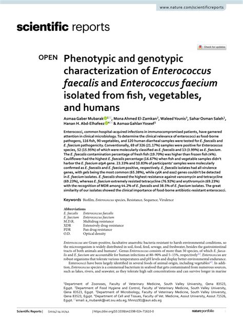 Pdf Phenotypic And Genotypic Characterization Of Enterococcus Faecalis And Enterococcus