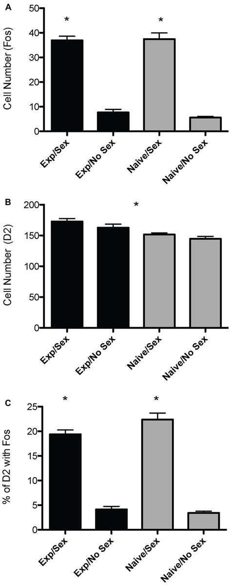 Effects Of Sexual Activity And Sexual Experience On D And Download Scientific Diagram