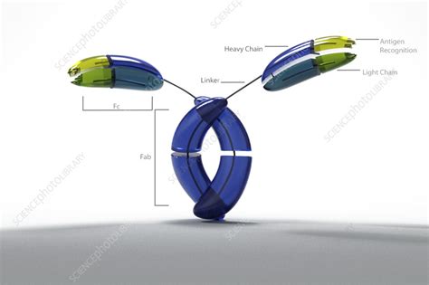 Chimeric Antigen Receptor Illustration Stock Image C0590472