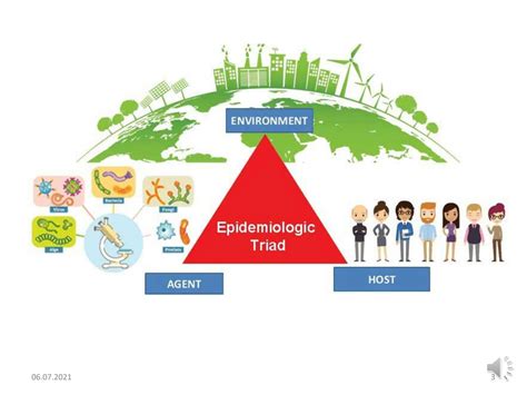 Solution Microbial Pathogenesis And Virulence Factor Organized Studypool