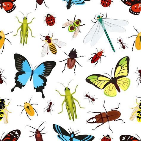 Insects Seamless Pattern Vector Art At Vecteezy