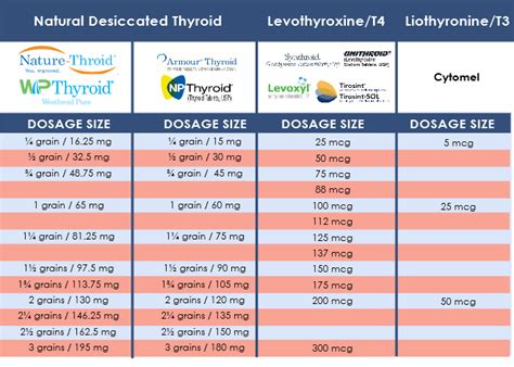 How To Navigate The Shortages Of Natural Desiccated Thyroid Drugs Paloma Health
