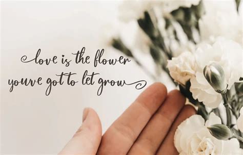 magnolia font free download fonty fonts