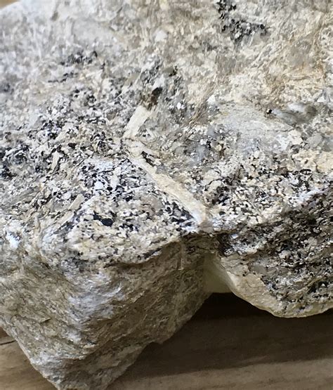 Is This A Stromatoporoid Fossil Id The Fossil Forum