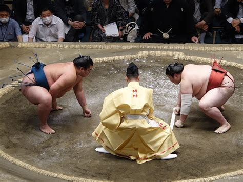 Sumo Wrestling In Japan Complete Guide To A Cultural Experience