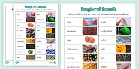 Rough And Smooth Photo Sorting Activity Teacher Made