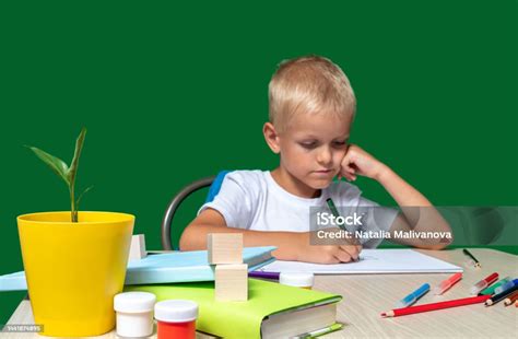 테이블 위의 화분에 꽃이 있고 연필 붓 책 큐브 페인트가 있습니다 배경의 소년은 펠트 펜으로 그림을 그립니다 자유 시간 그리기 배우기 취미 선택적 초점 6 7 살에 대한