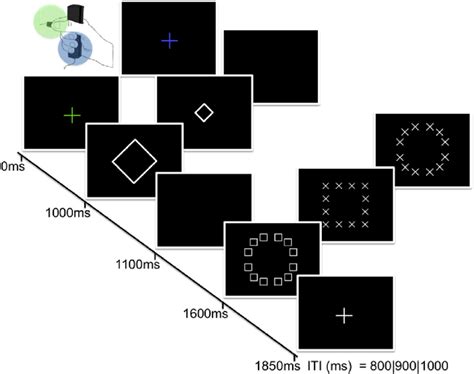 E Schematic Illustration Of The Trial Procedure With Alternate Download Scientific Diagram