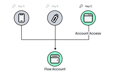 Protocol Native Account Abstraction Flow