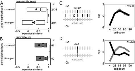 Comparison Of Diverse Developmental Transcriptomes Reveals That Coexpression Of Gene Neighbors
