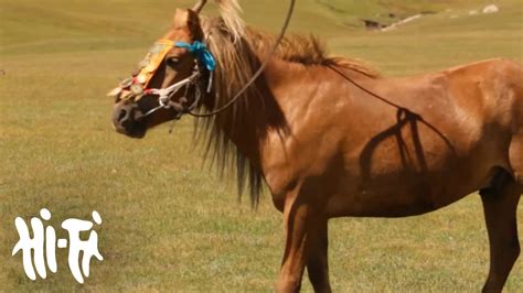 Баасандорж Зээрд азарга Youtube