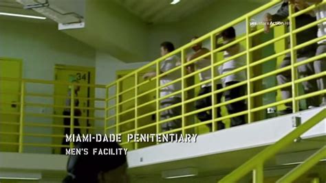 Miami Dade Jails Inmates