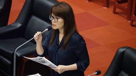 藍營宣布高雄市第6選區立委初選結果 陳美雅出線對決趙天麟