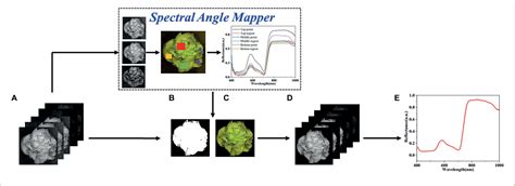 Figure 3 From Hyperspectral Technique Combined With Deep Learning