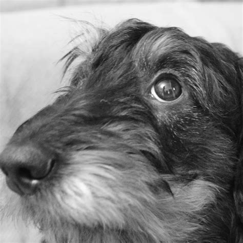 John Allsopp Youtube