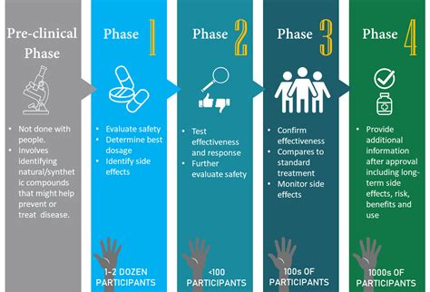 What Are Clinical Trial Pictures Of Different Parts About Clinical