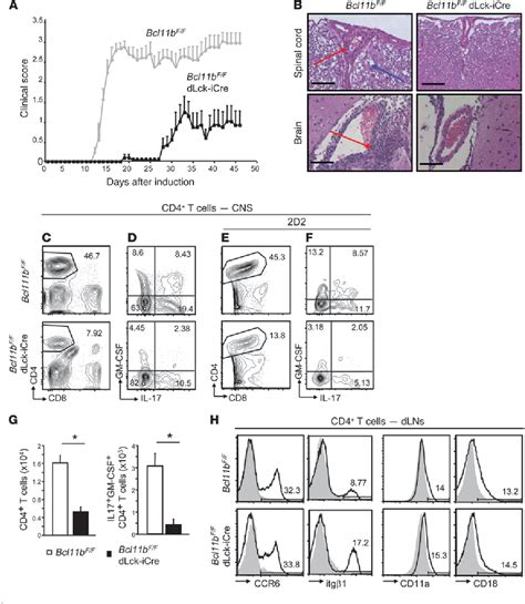 Figure 2 From Diverting T Helper Cell Trafficking Through Increased Plasticity Attenuates