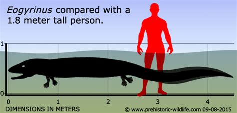 Prehistoric Giant Amphibians