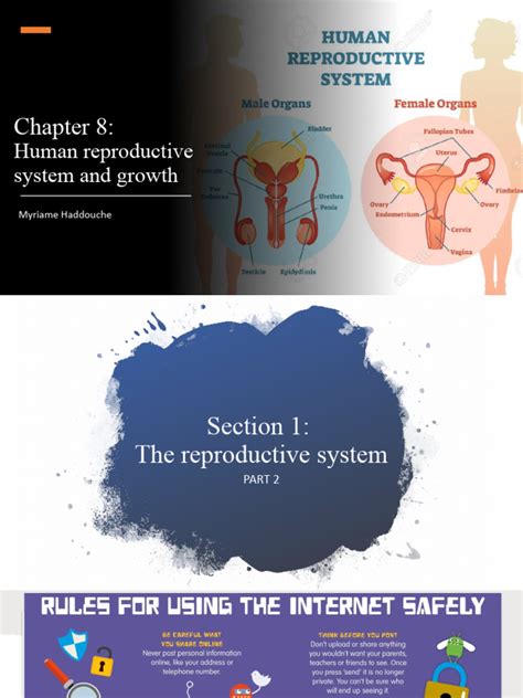 Chapter 8 Section 1 The Reproductive System Part2 Pdf Semen Sperm