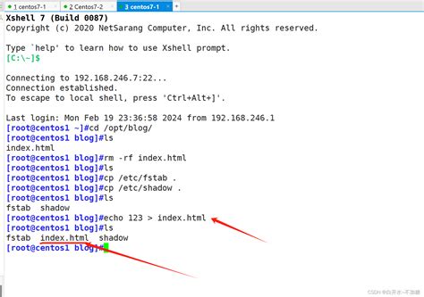 Web基础及协议 （二） Apache相关配置与优化apache协议 Csdn博客