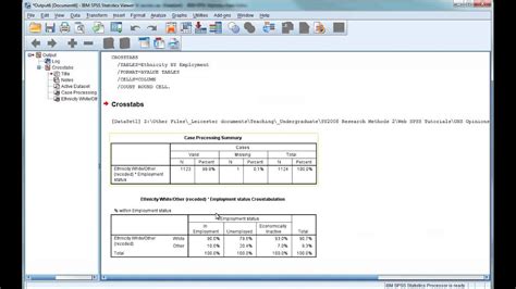 Spss Tutorial 8 Combining Percentages And Frequency Counts In Cross
